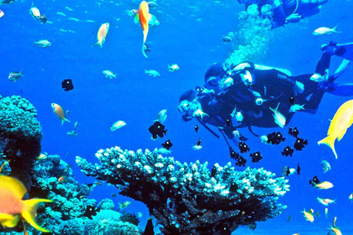 Buceo en Cancún, actividad que no puede faltar en tus vacaciones