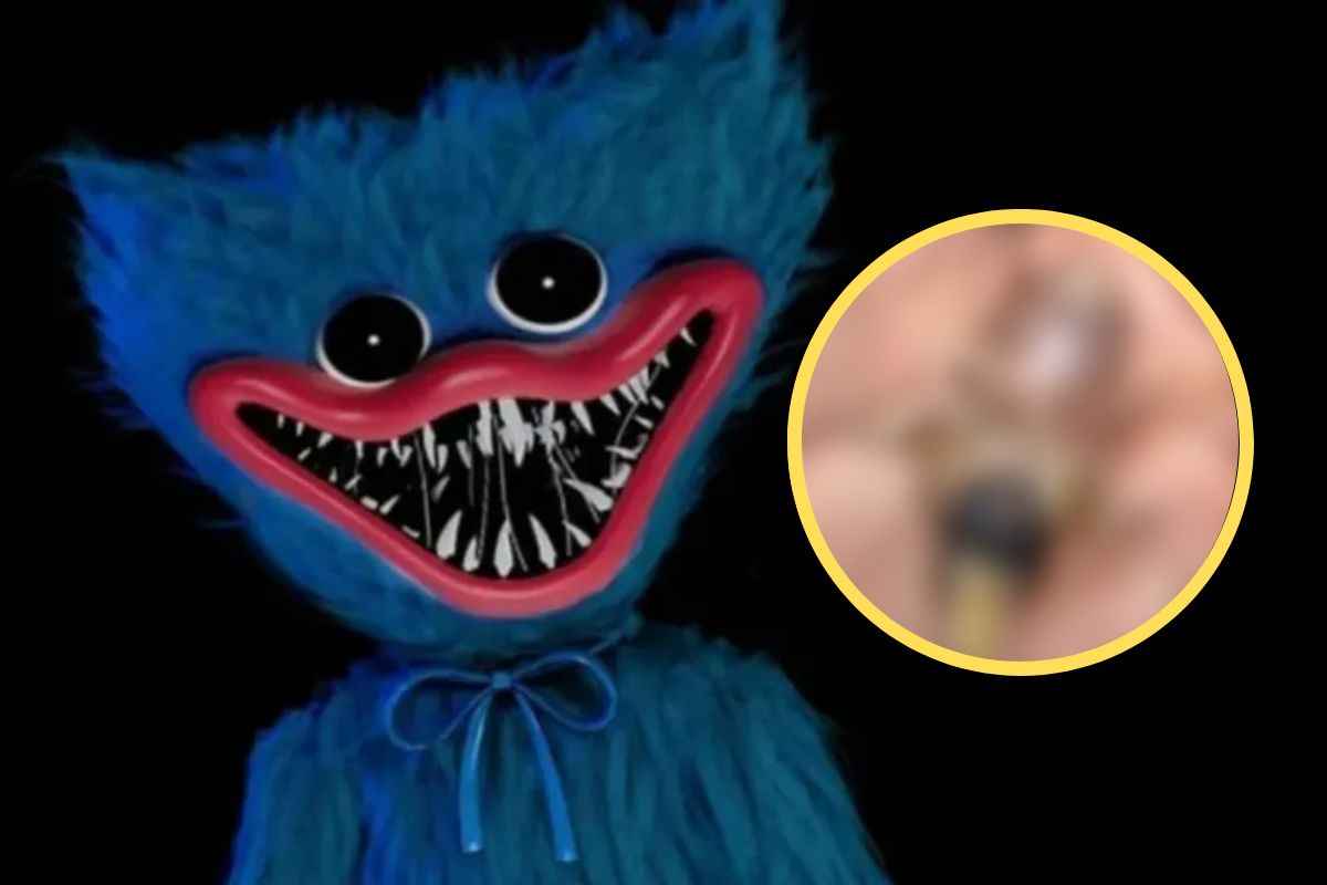 VIDEO: Animal extraño con boca negra y dientes filosos