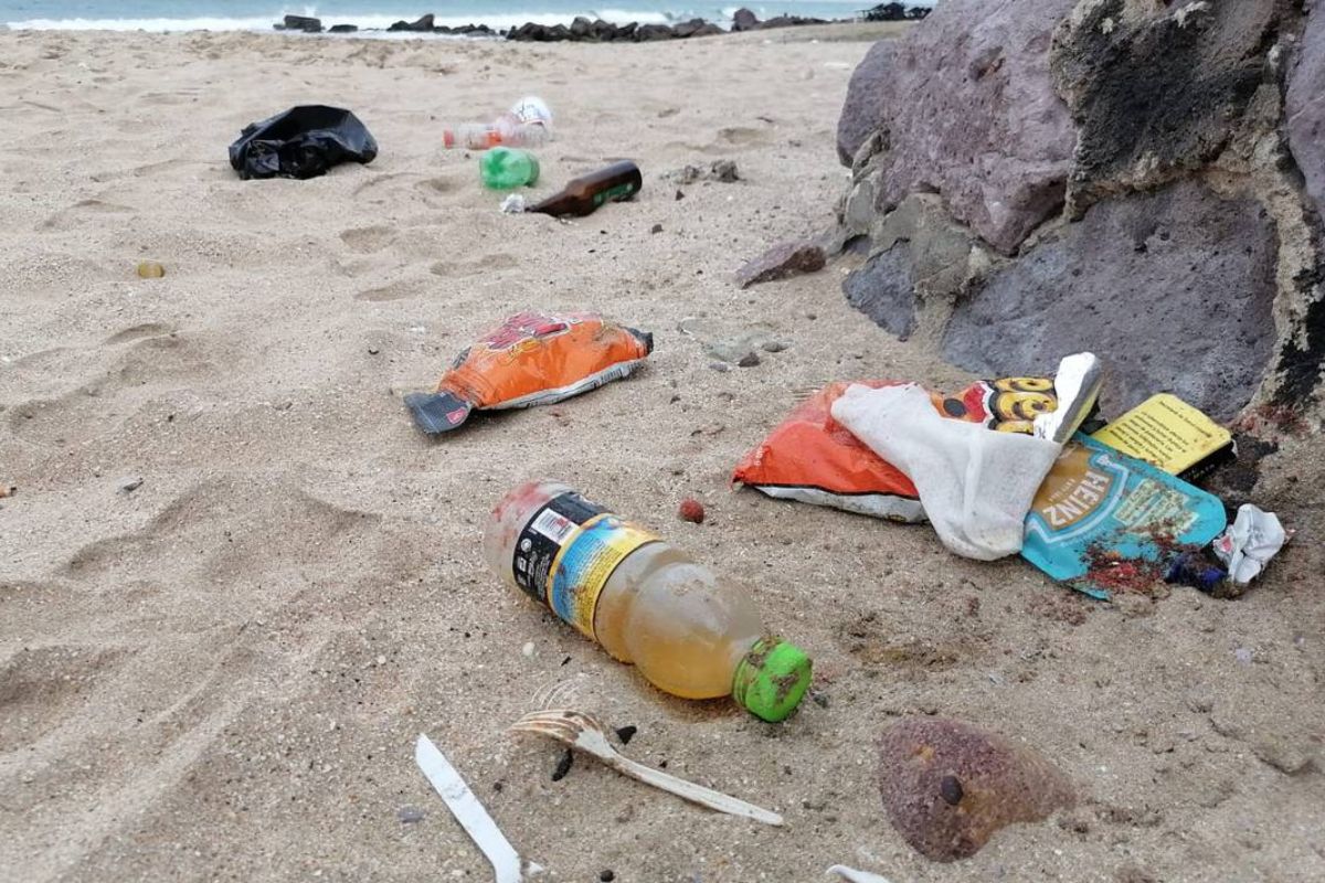 Recolectan en Isla Mujeres hasta 300 kilos de basura tirada por visitantes