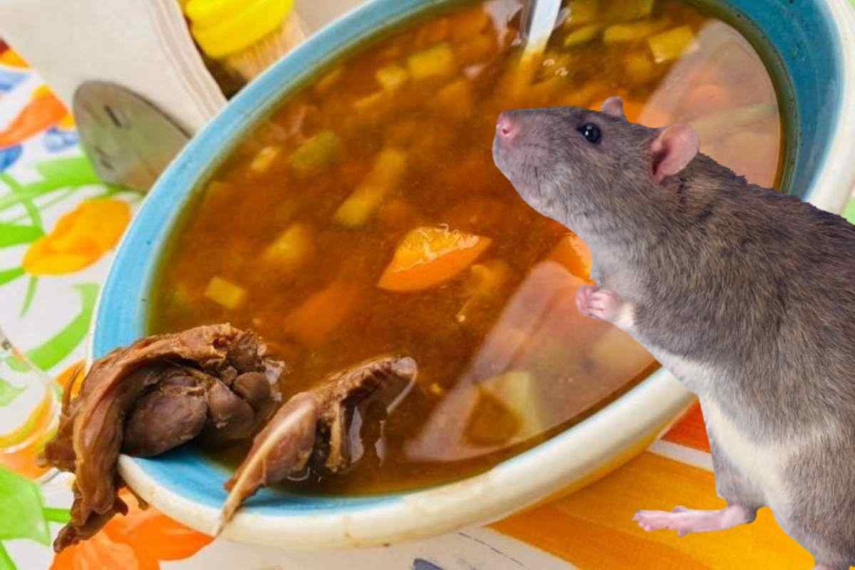 Caldo de rata, un platillo inusual servido en el centro del país - MegaNews