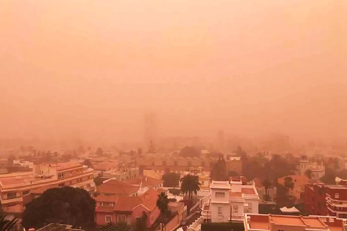 Polvo del Sahara: ¿Qué es y cuándo llegaría a México en 2024?