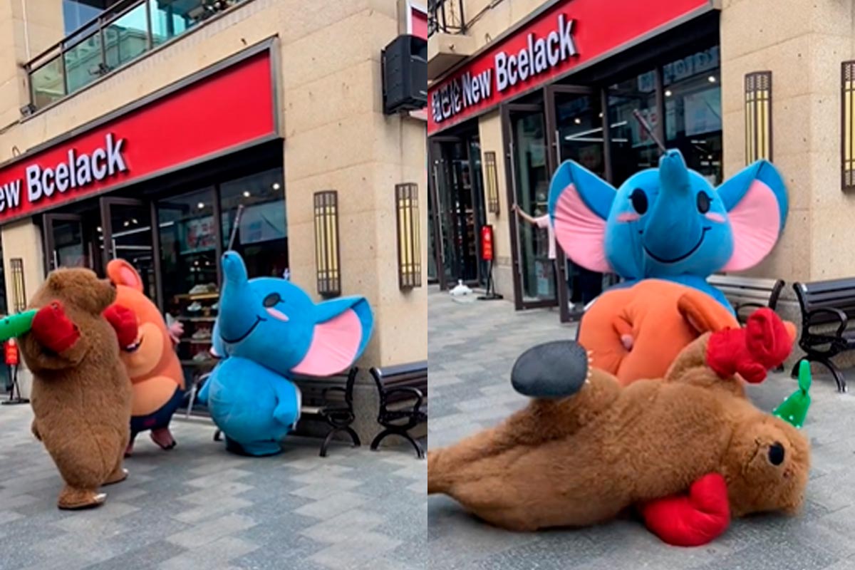 VIDEO: Batalla épica entre botargas se vuelve viral en TikTok - MegaNews